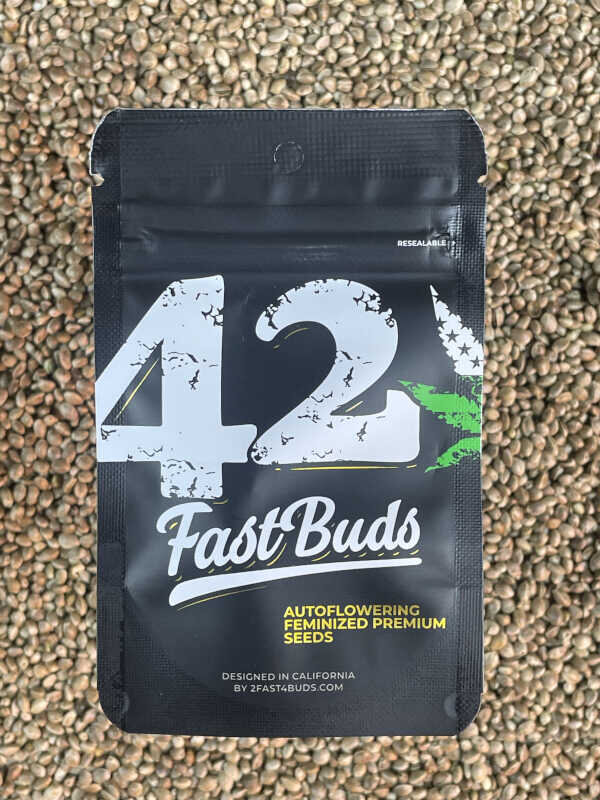 FastBuds Forbidden Runtz Auto, 1 Samen automatic, 13,00